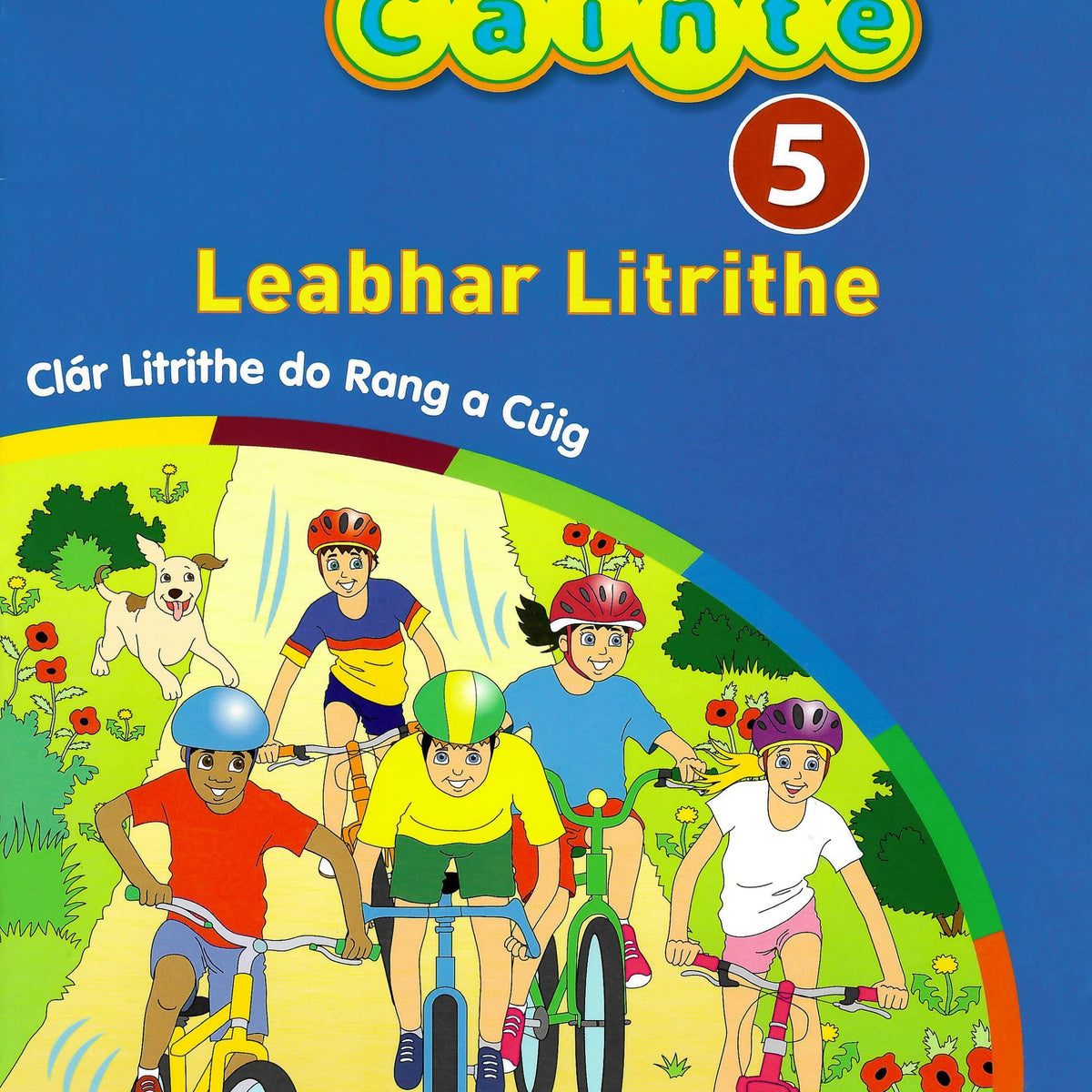 Bua na Cainte 5 - Leabhar Litrithe (Workbook Only) – Schoolbooks.ie