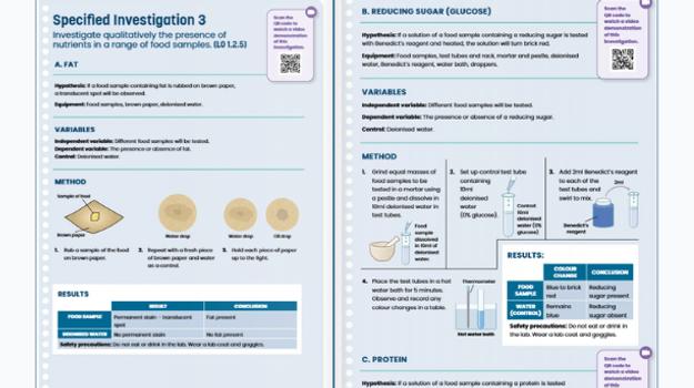 Evolution - Textbook & Learning Portfolio & Investigative Log - Set ...